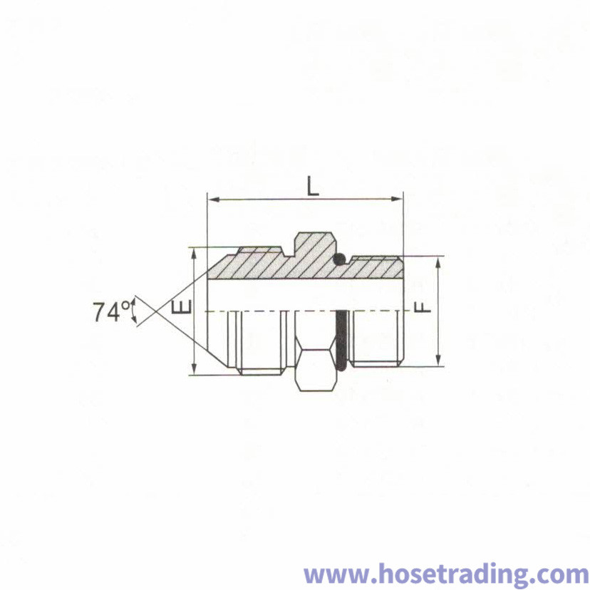 Metric Male 74° Cone/Metric Male L-Series ISO 6149-3